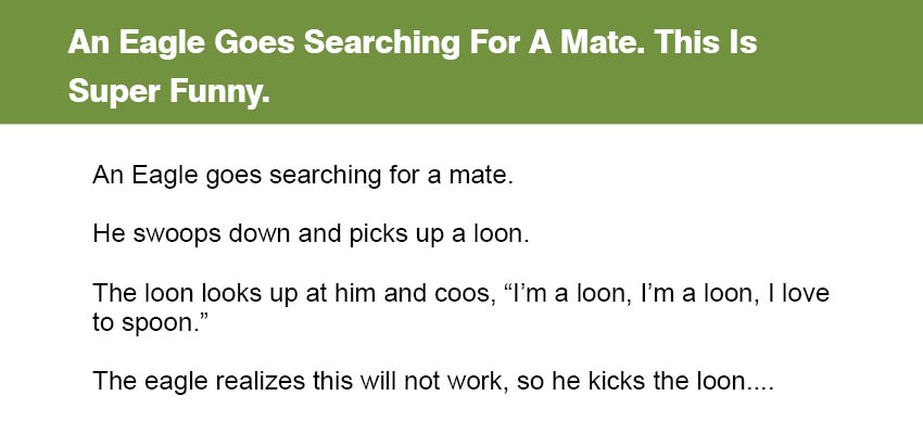 An Eagle Goes Searching For A Mate.