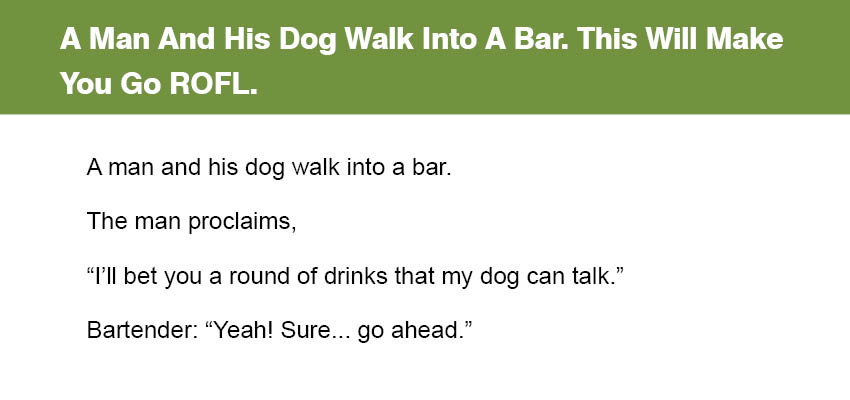 A Man And His Dog Walk Into A Bar.