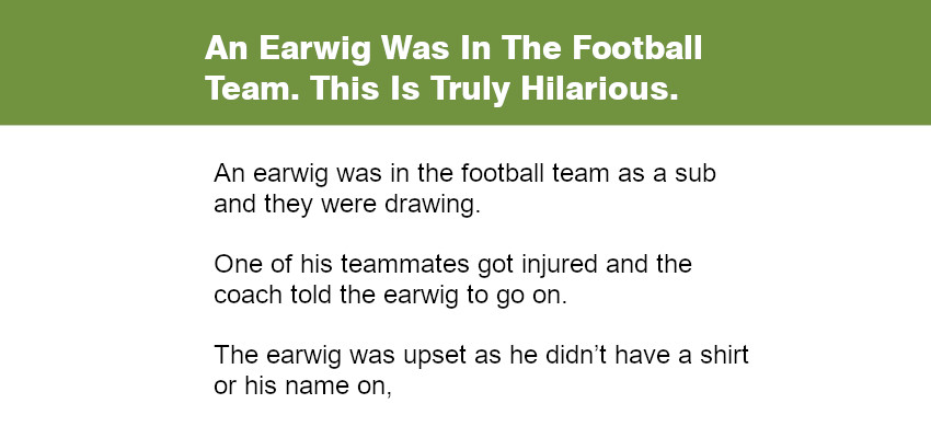 An Earwig Was In The Football Team.