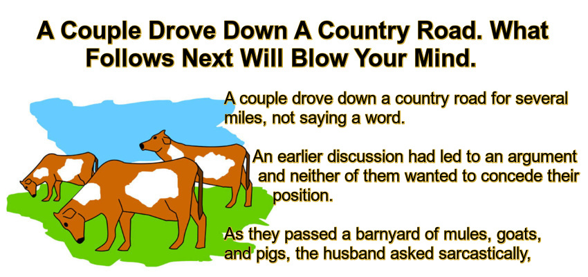 A Couple Drove Down A Country Road.