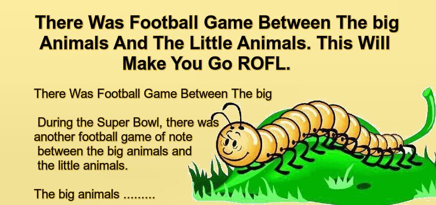 There Was Football Game Between The big Animals And The Little Animals.