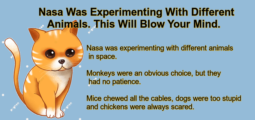 Nasa Was Experimenting With Different Animals.