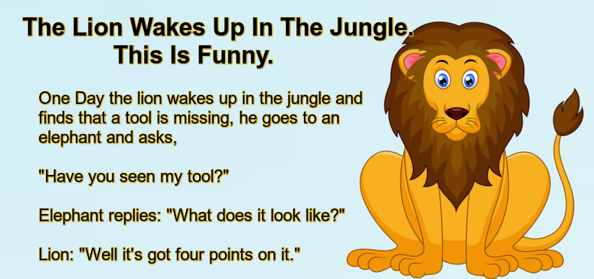 The Lion Wakes Up In The Jungle.