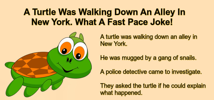 A Turtle Was Walking Down An Alley In New York.