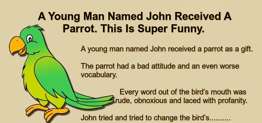 A Young Man Named John Received A Parrot.