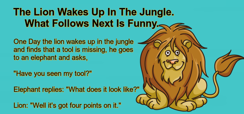 The Lion Wakes Up In The Jungle.