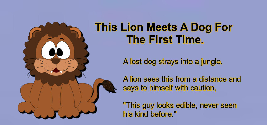 This Lion Meets A Dog For The First Time.