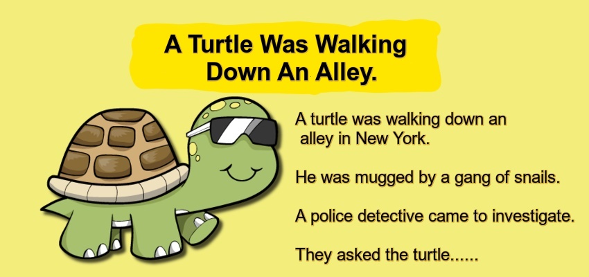 A Turtle Was Walking Down An Alley.