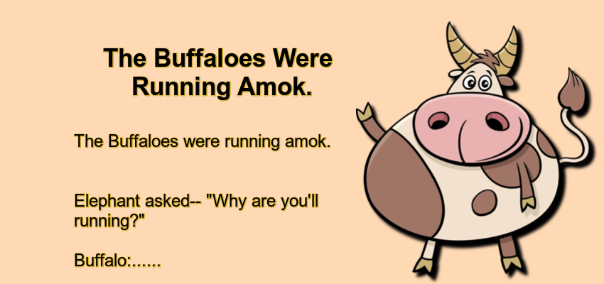 The Buffaloes Were Running Amok.