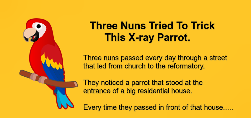 Three Nuns Tried To Trick This X-ray Parrot.