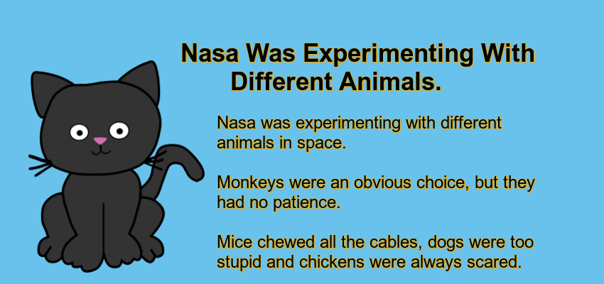 Nasa Was Experimenting With Different Animals.